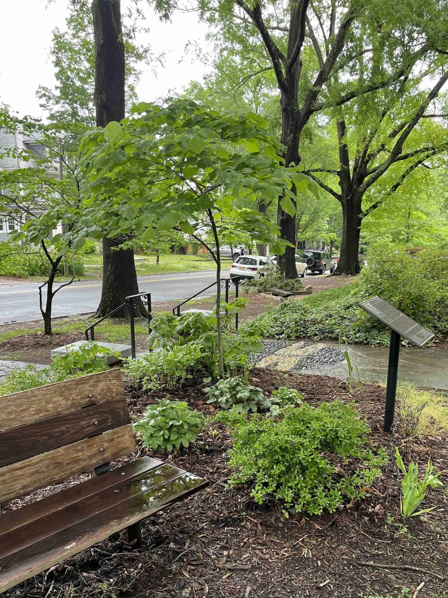 Trinity Park Foundation Update, Spring 2024 | Trinity Park